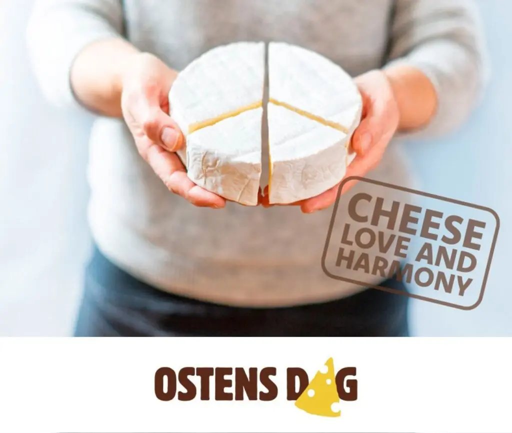 How to Become a Cheesemonger: A Delicious Journey - Academy Of Cheese