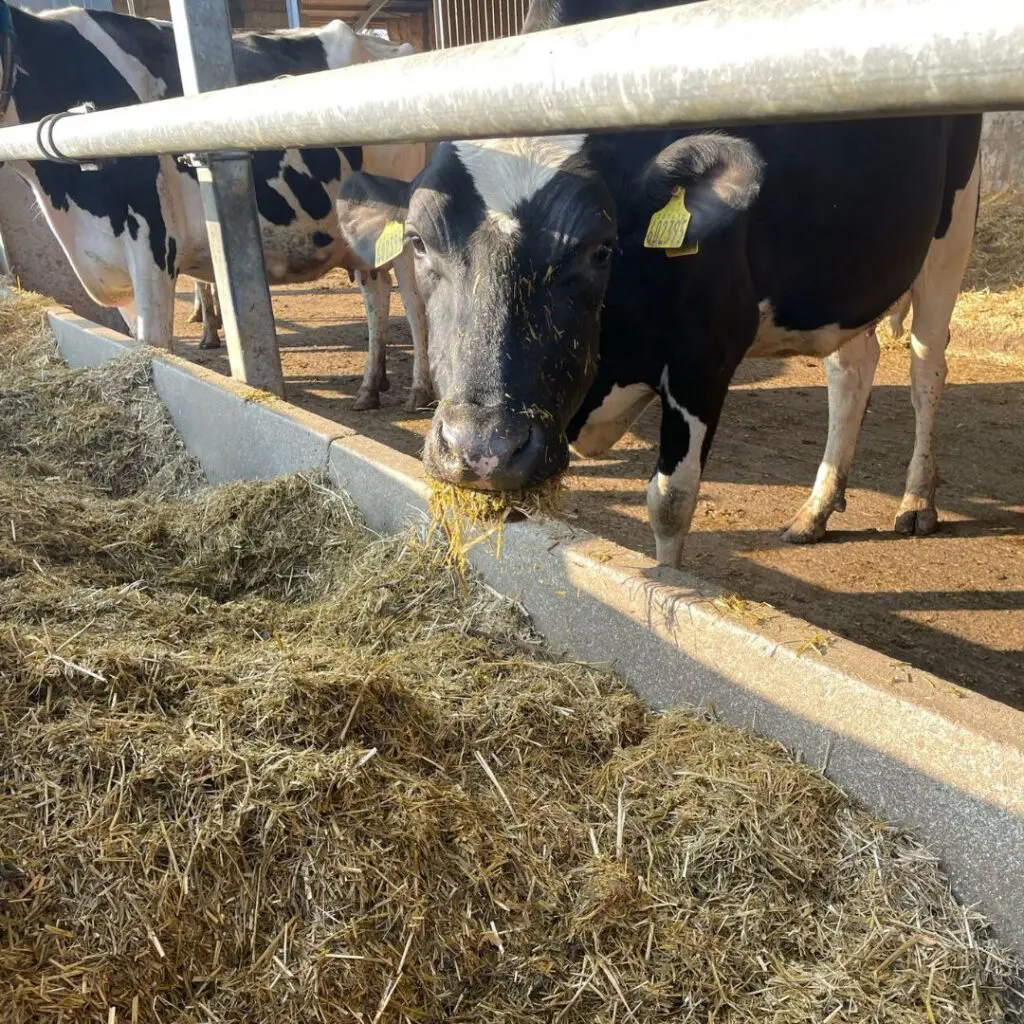 Academy of Cheese Level 2 Member Certification at Sparkenhoe Farm ...