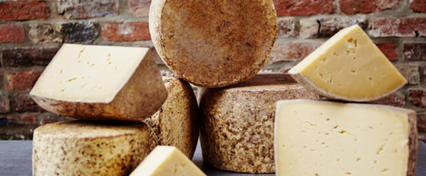 How to taste Cheese Guide - Academy of Cheese