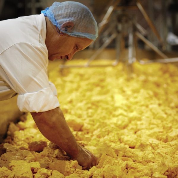 Courses - Academy Of Cheese