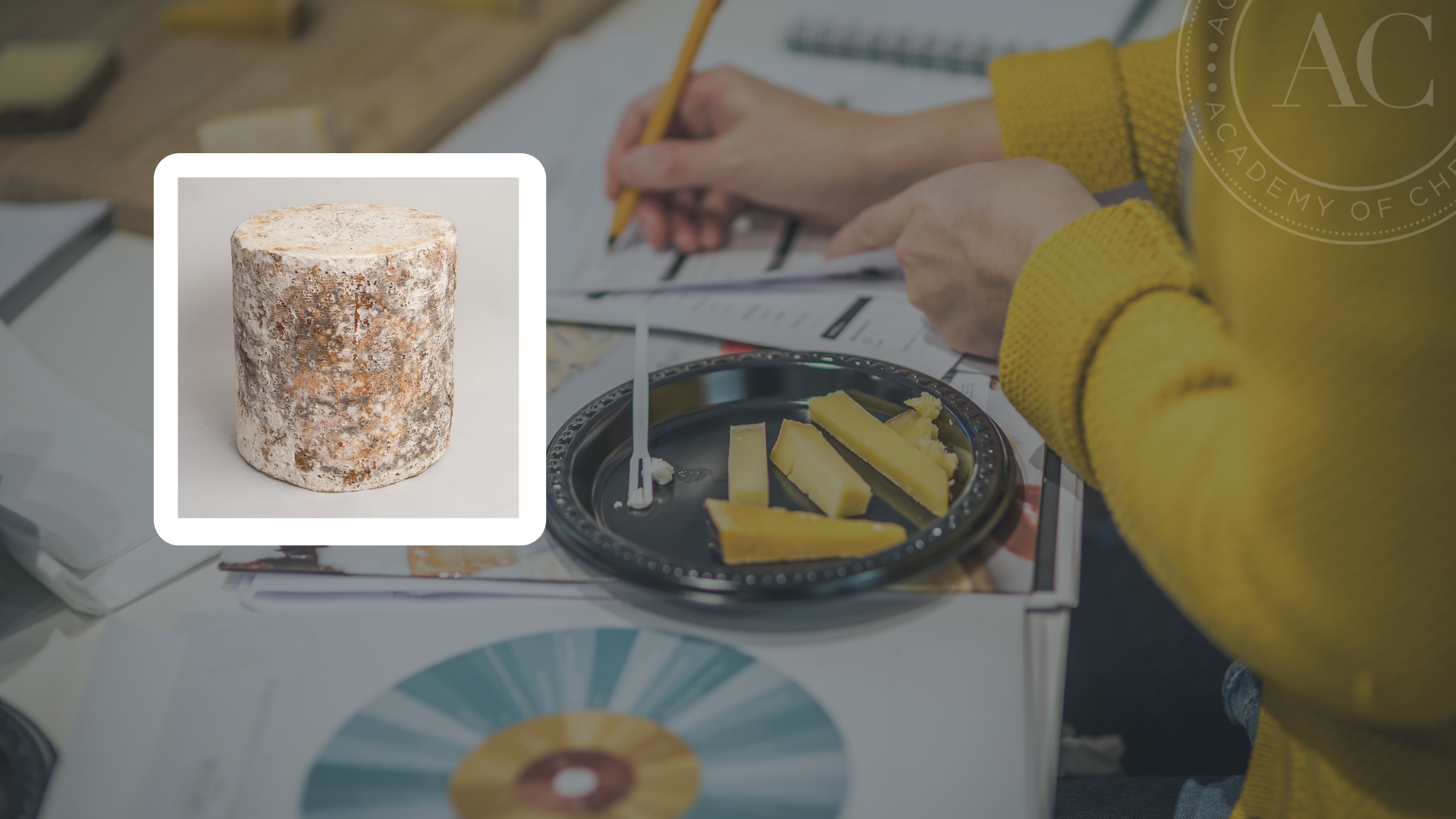 Blue Stilton Pdo Academy Of Cheese