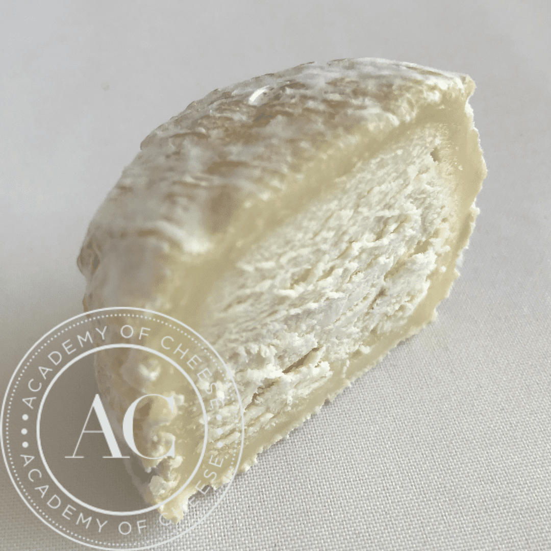 Crottin de Chavignol PDO - Academy Of Cheese