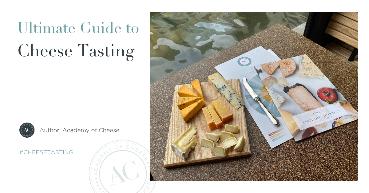 How to taste Cheese Guide - Academy of Cheese