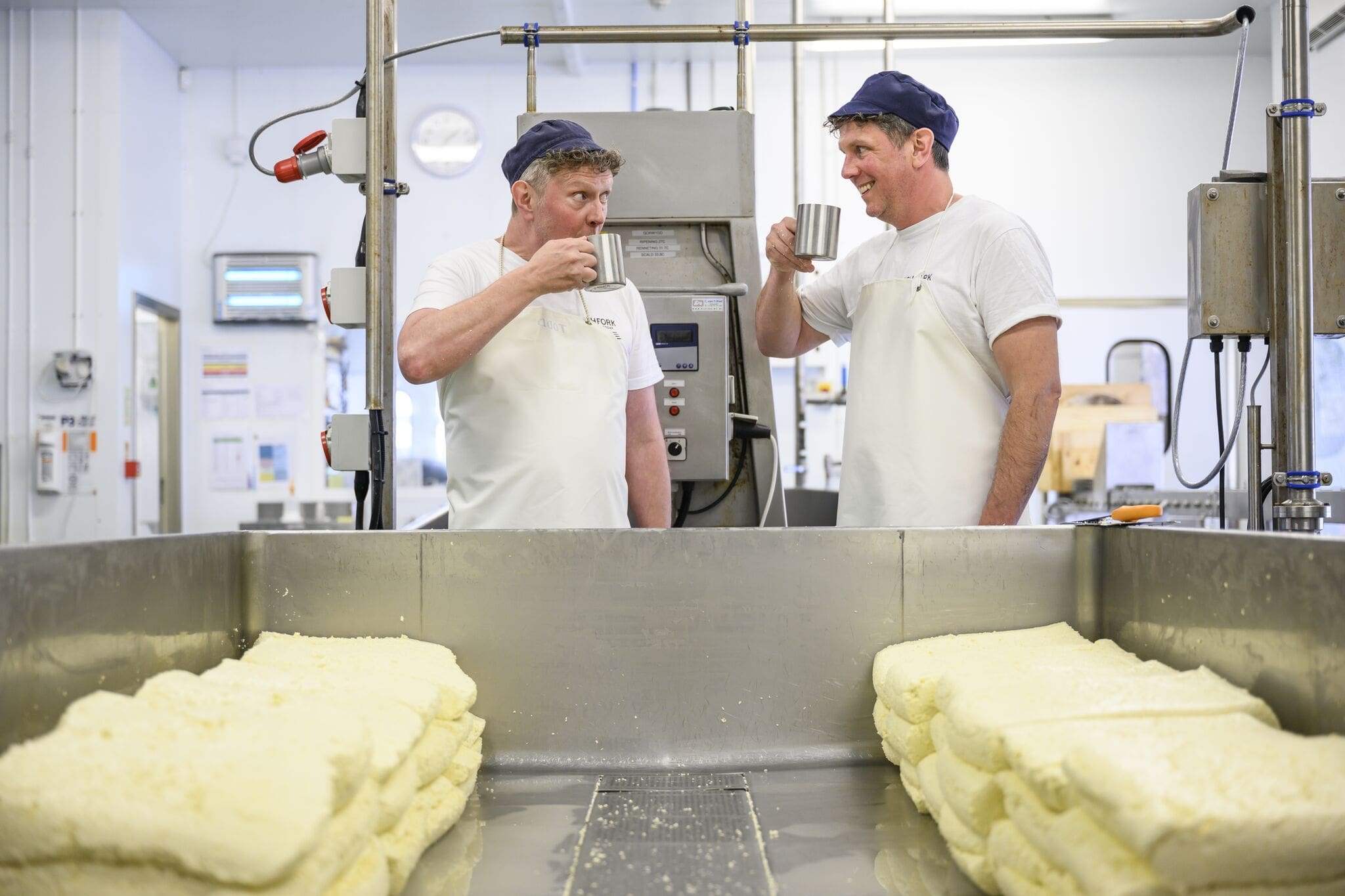 Iconic Cheeses - Academy Of Cheese