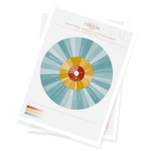 How to taste Cheese Guide - Academy of Cheese