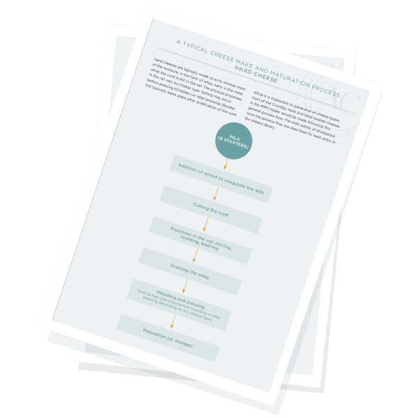 Typical Cheese Make Flow Diagram - Academy Of Cheese