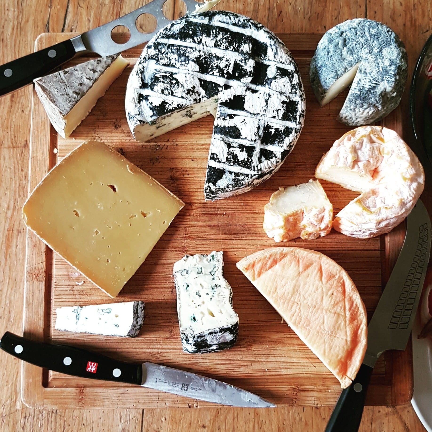 How to taste Cheese Guide - Academy of Cheese