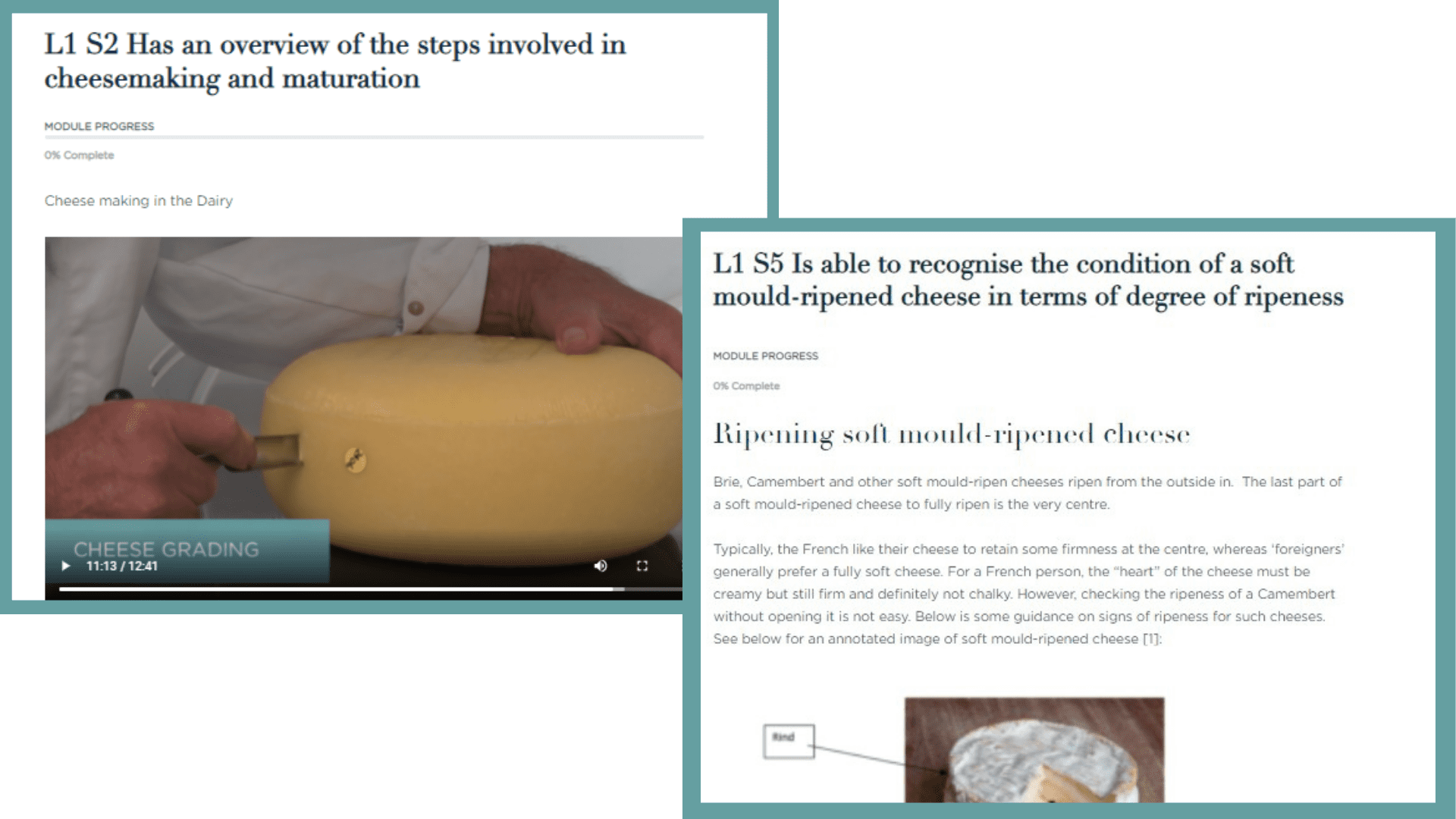 An Insider’s Guide To Studying with the Academy of Cheese - Academy Of ...