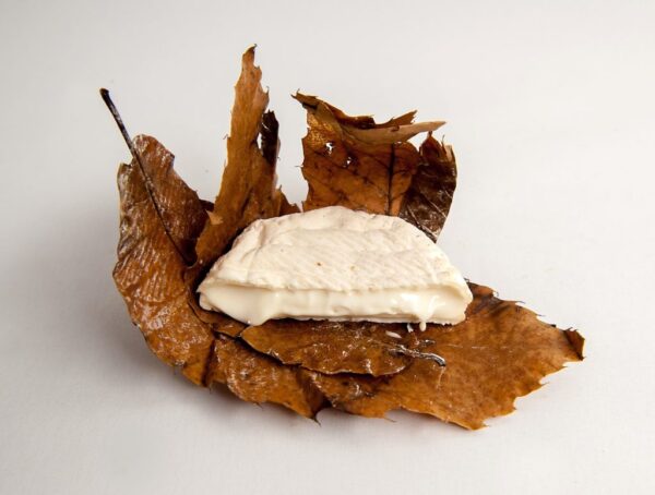 Cheese Tasting - Academy Of Cheese