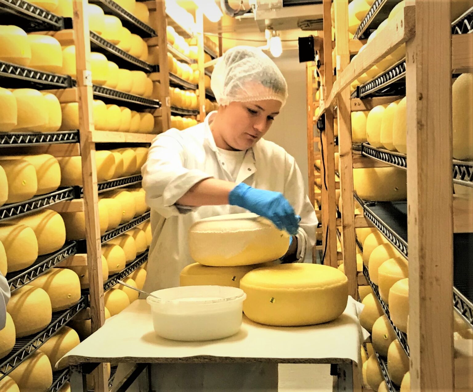 What is Cheese Grading? and How Does Cheese Mature