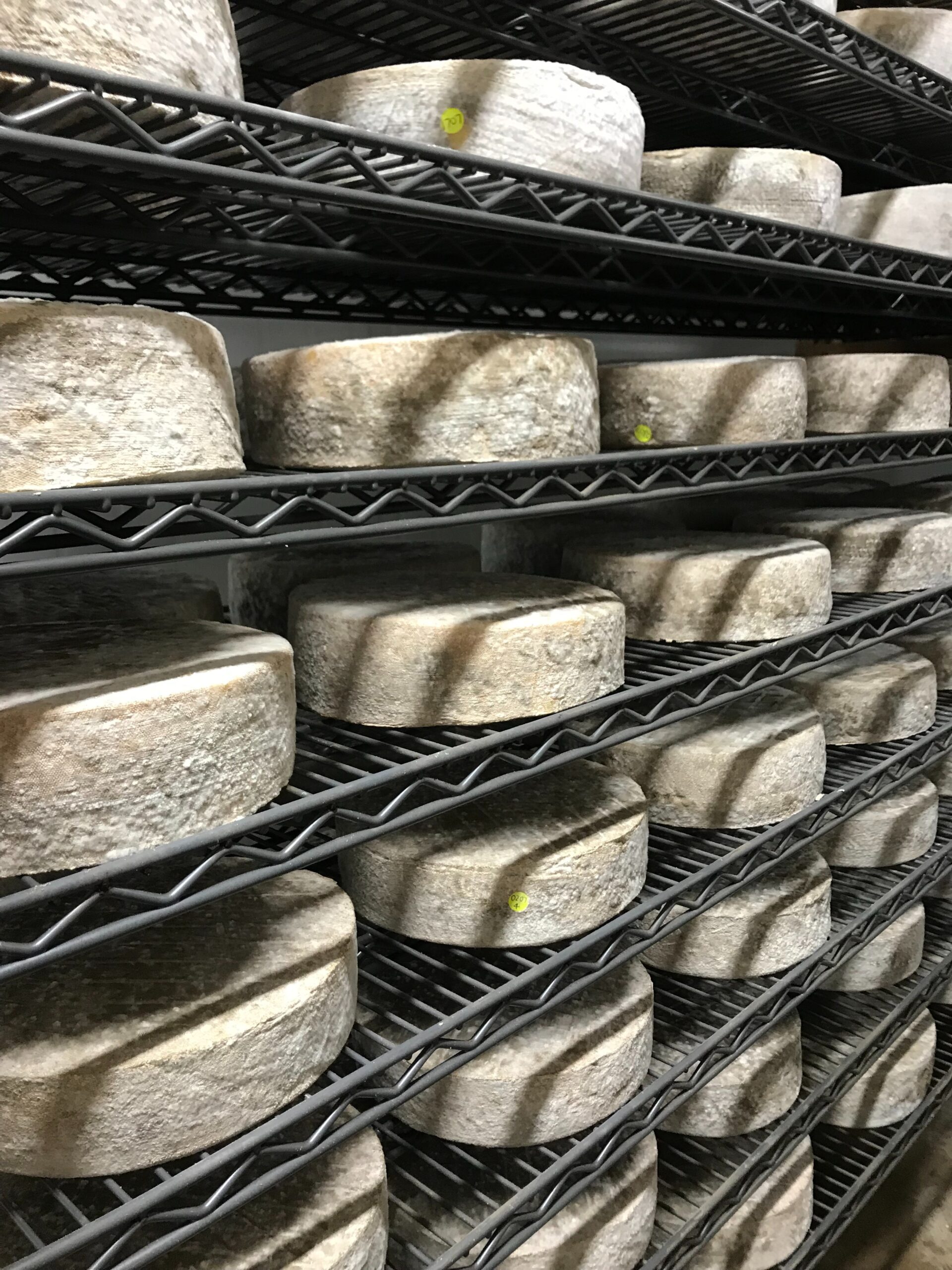 Cheese Buying and Distribution - Academy Of Cheese