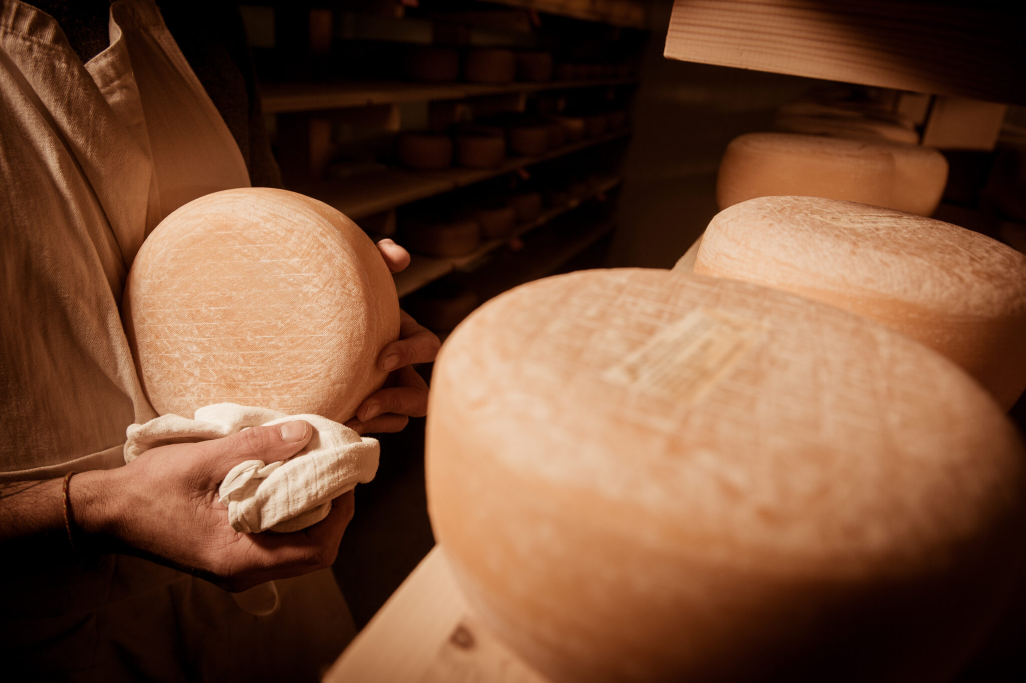 What is Cheese Grading? and How Does Cheese Mature