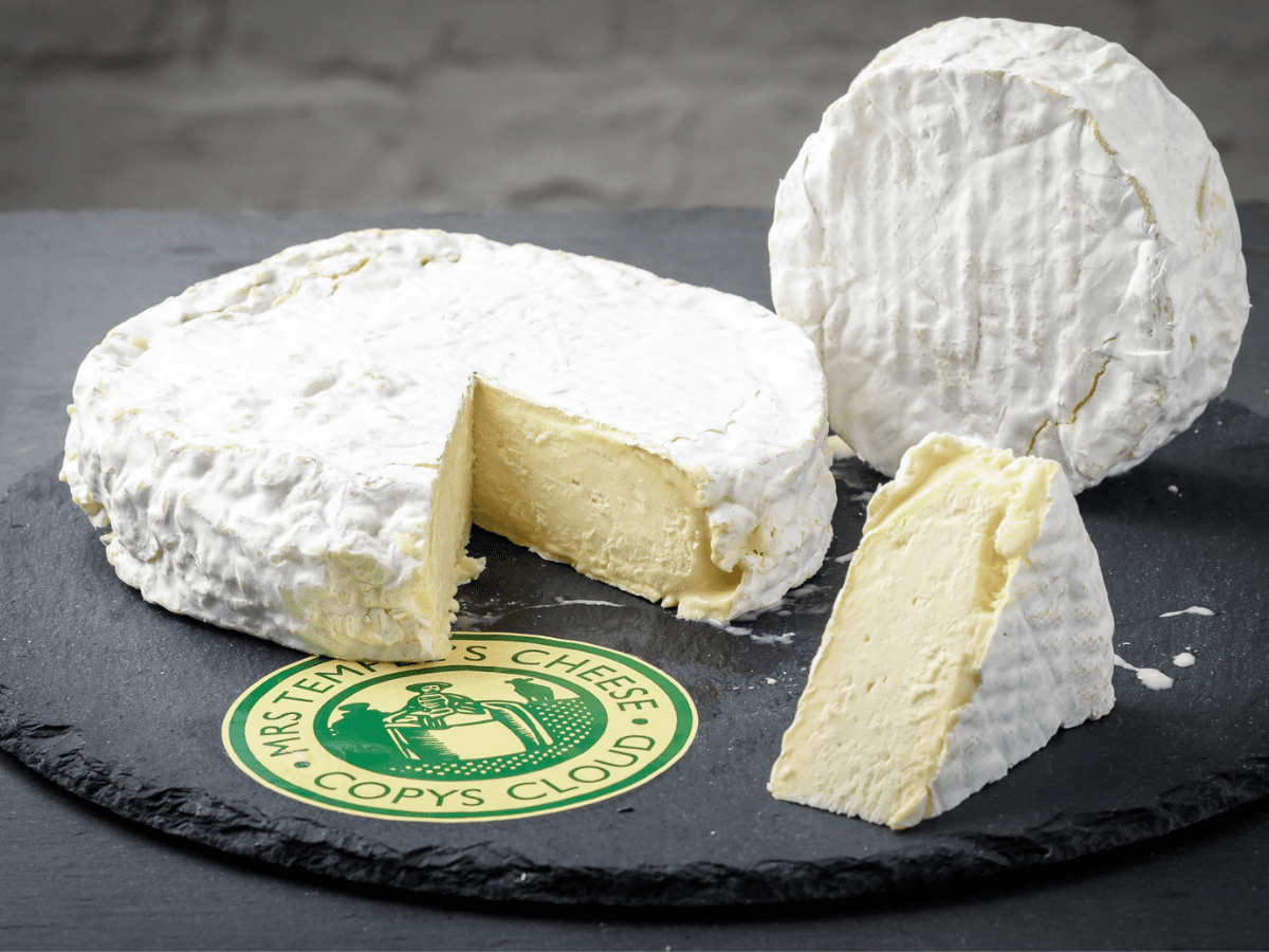 Copy's Cloud - Cheese Library