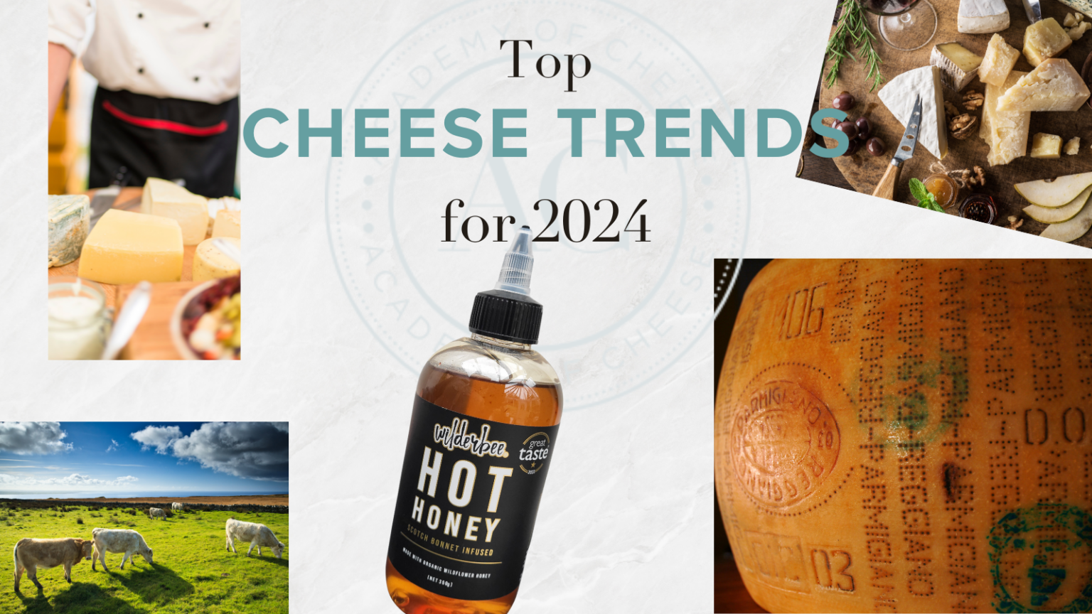 Top Cheese Trends for 2024 - Academy Of Cheese