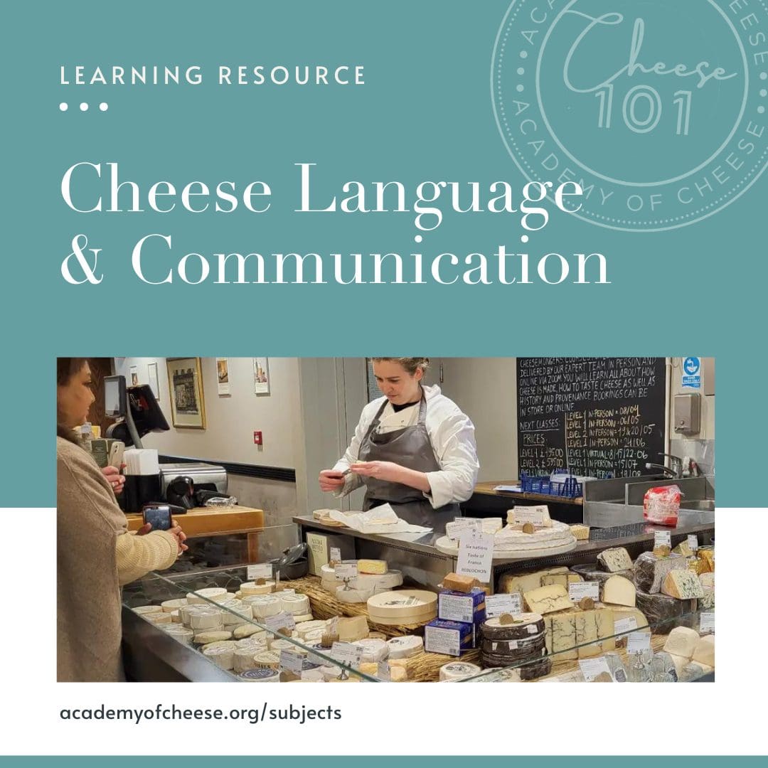 Cheese Language & Communication - Academy Of Cheese