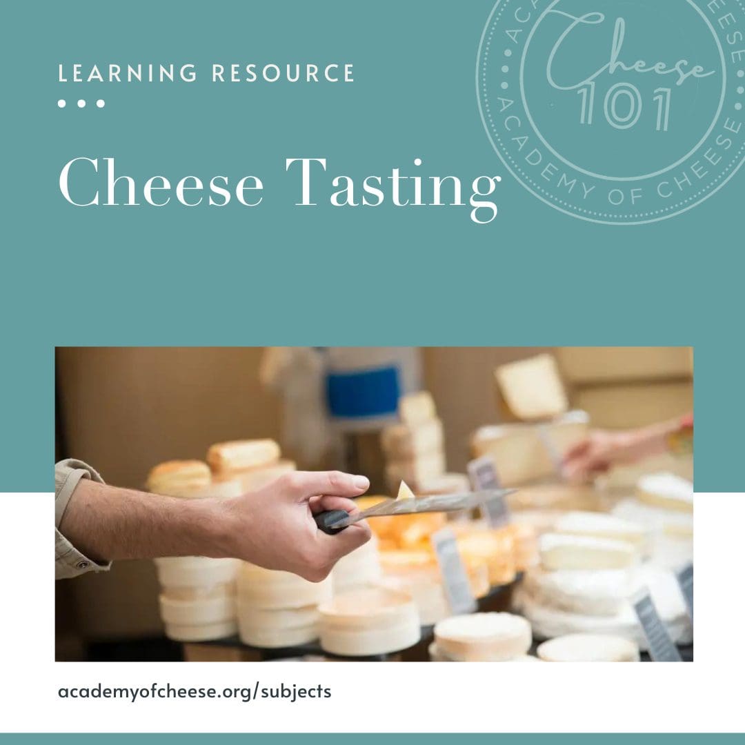 Cheese Tasting - Academy Of Cheese