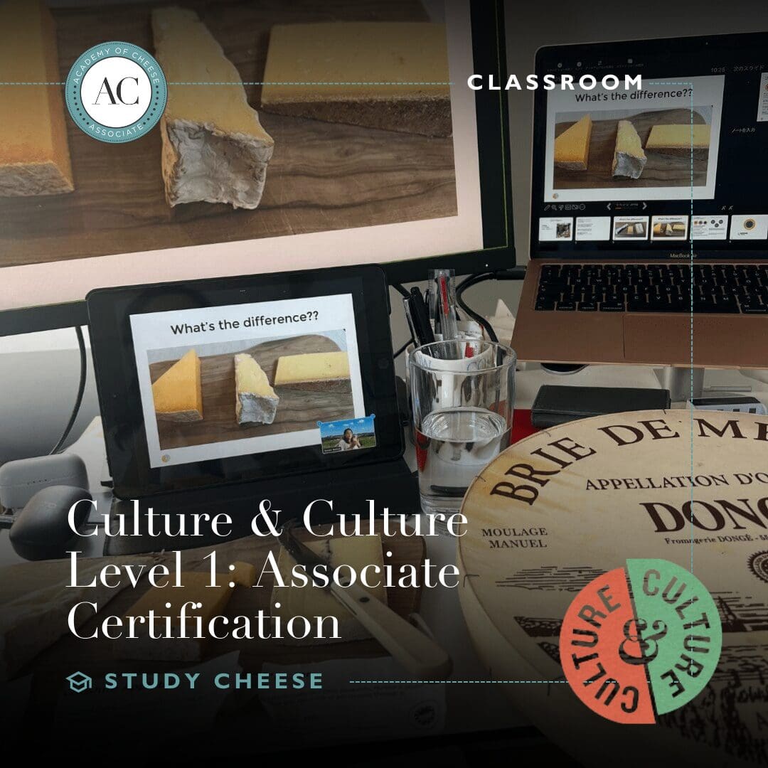Culture & Culture | Level 1: Academy of Cheese Certification