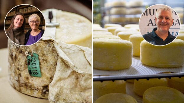 Belton Farm | Red Fox: A Modern British Classic - Academy Of Cheese