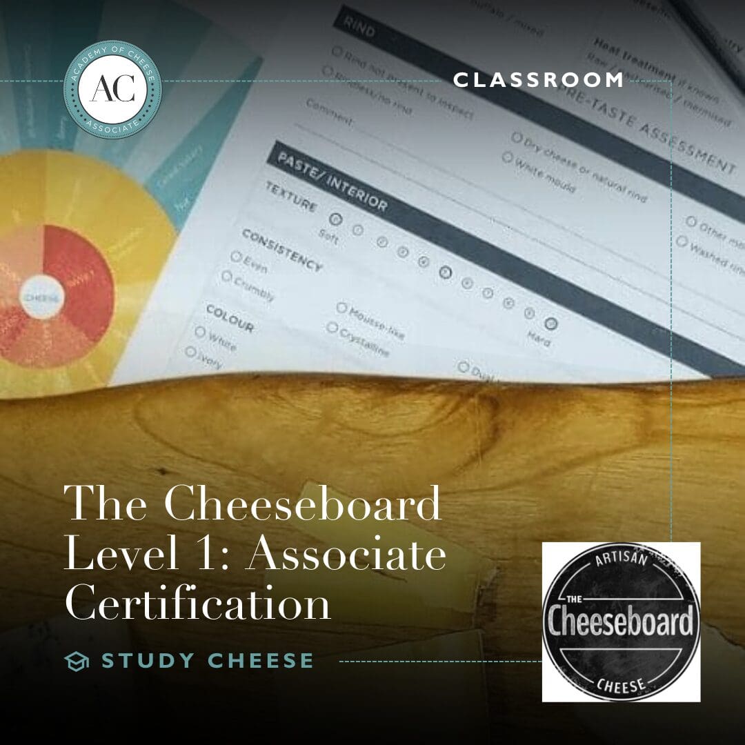 The Cheeseboard | Level 1: Academy of Cheese Certification