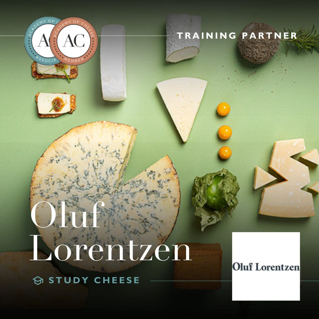 Logotipo De Oluf Lorentzen