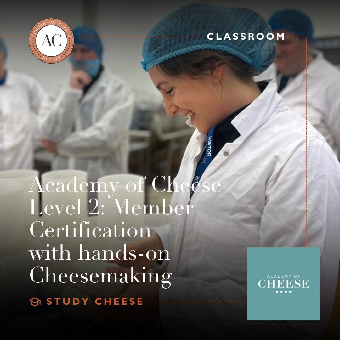 Level Two Member Certification with hands-on Cheesemaking