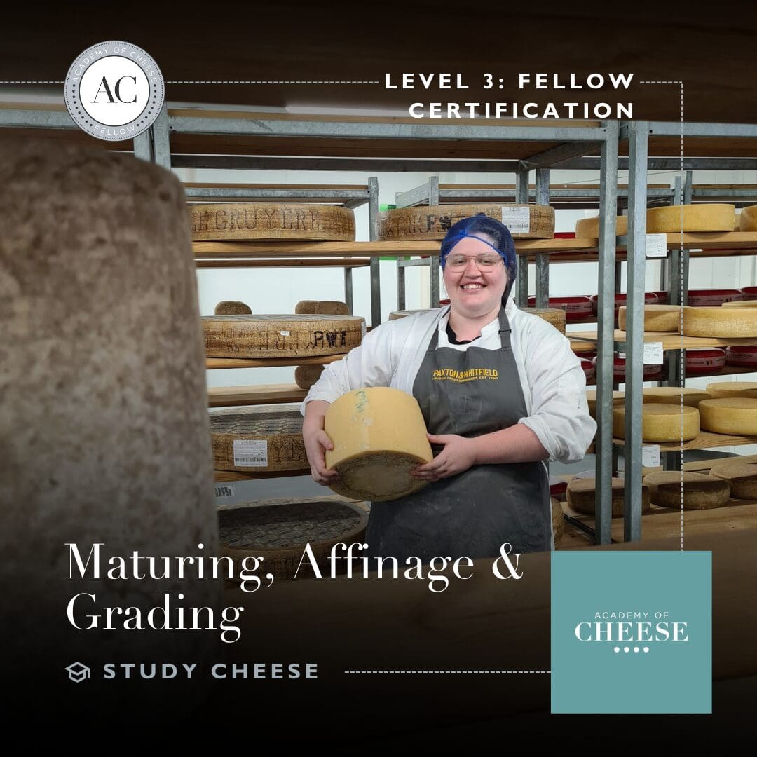 Cheese Maturing, Affinage & Grading | Level 3: Academy of Cheese