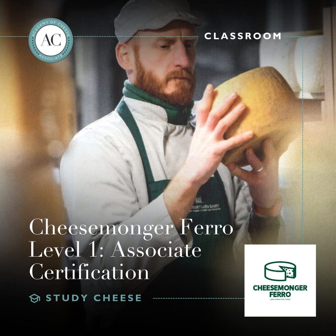 Cheesemonger Ferro at The Courtyard Dairy | Level 1 Certification