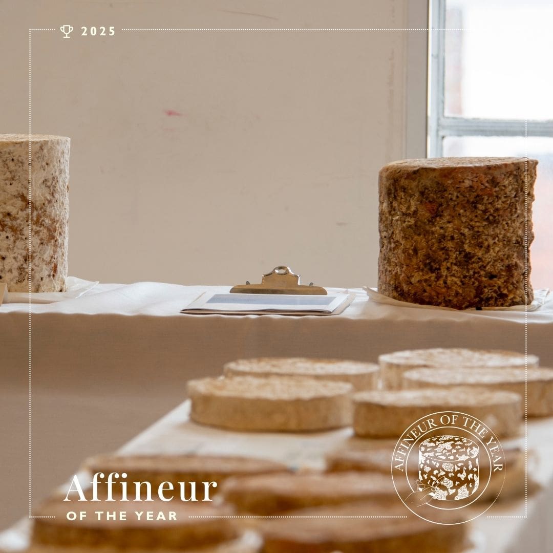 Master of Cheese - Academy Of Cheese