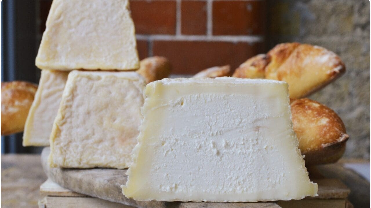 Cheese TV: A Celebration of British Goats Cheese & their Makers