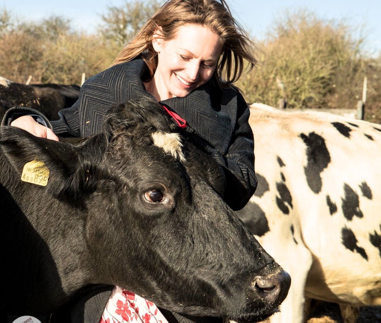 Cheesemaker Spotlight: Ceri Cryer’s Academy of Cheese Success and ...